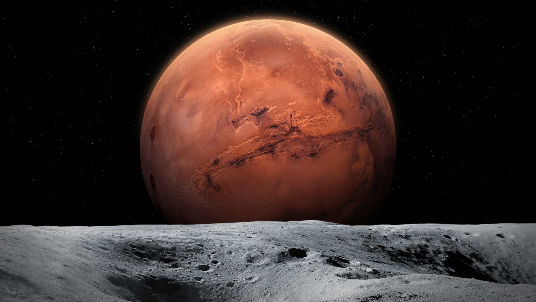 El motivo te va a sorprender: por qué estos hongos podrían ser la clave ...