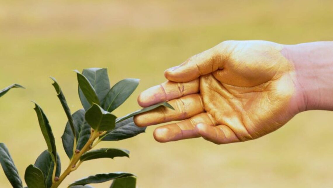 Revuelo en la arqueología: encuentran restos que podrían cambiar todo ...