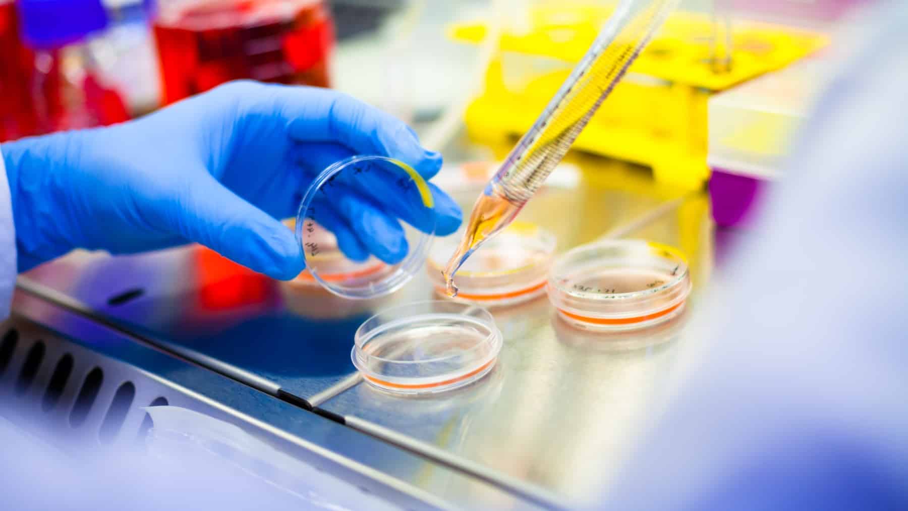 NASA makes it official - will use digital avatars to protect astronauts ...