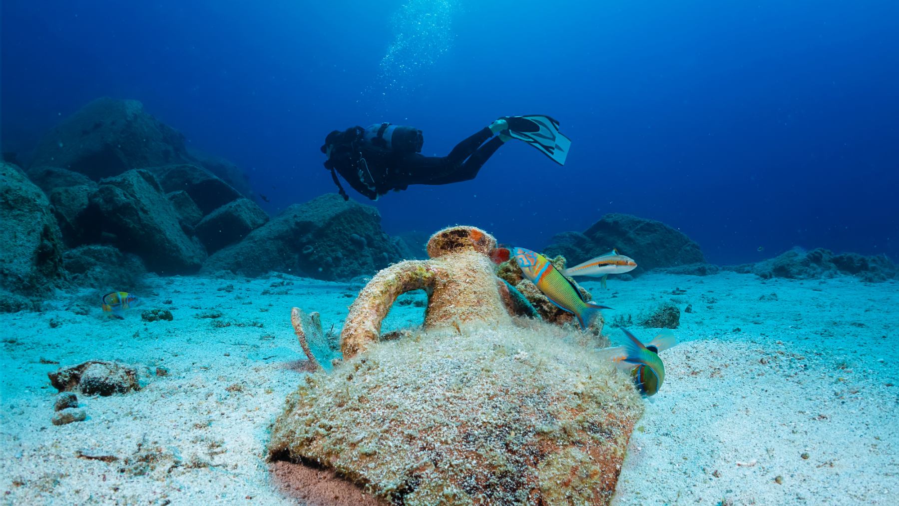 U.S. treasure hunters surprised by discovery in 300-year-old shipwreck
