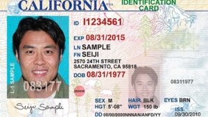 Total change at the DMV - California allows ID cards to be issued to ...