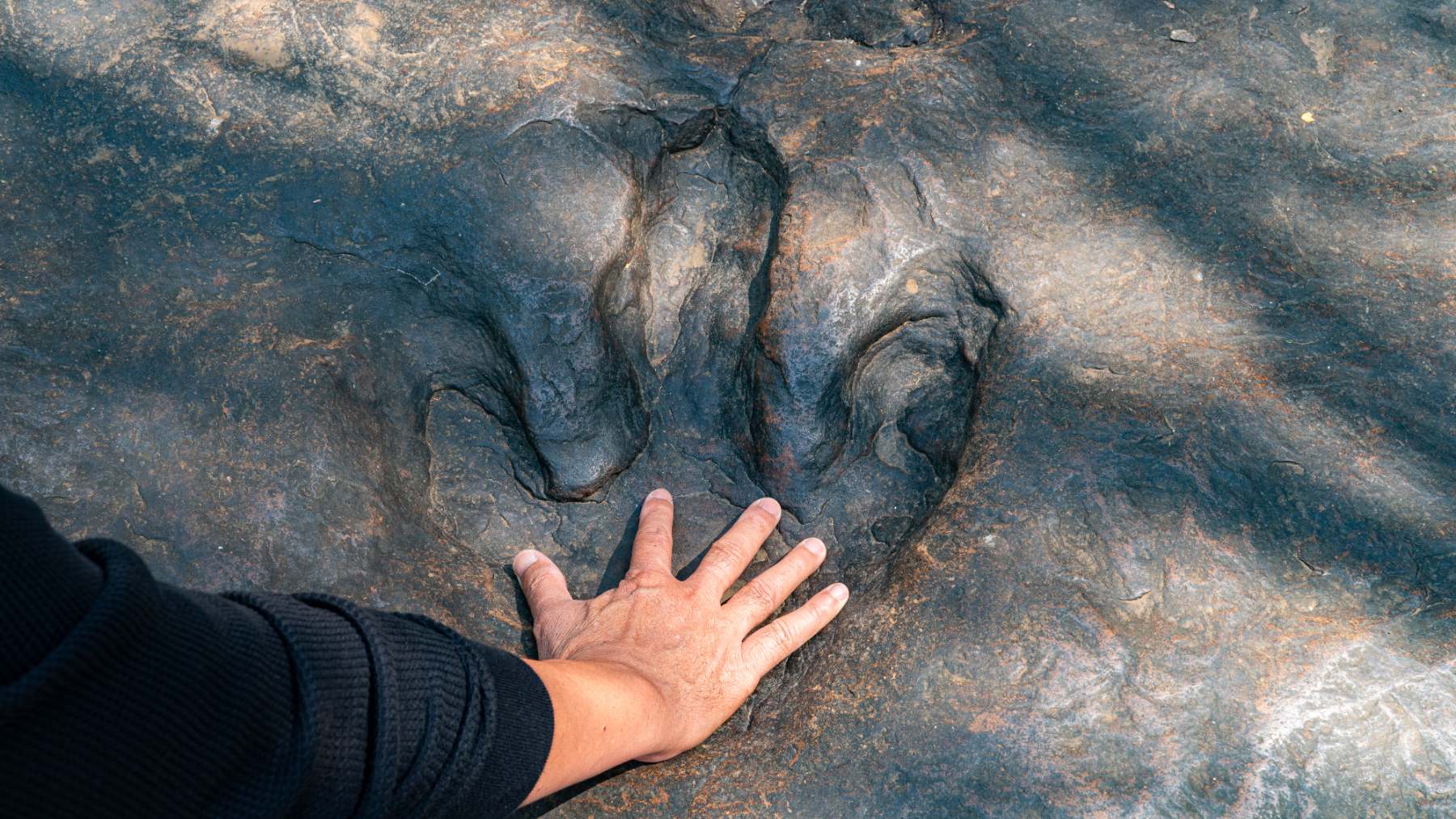 Confirmed - Scientists have found the oldest recorded footprints of a ...