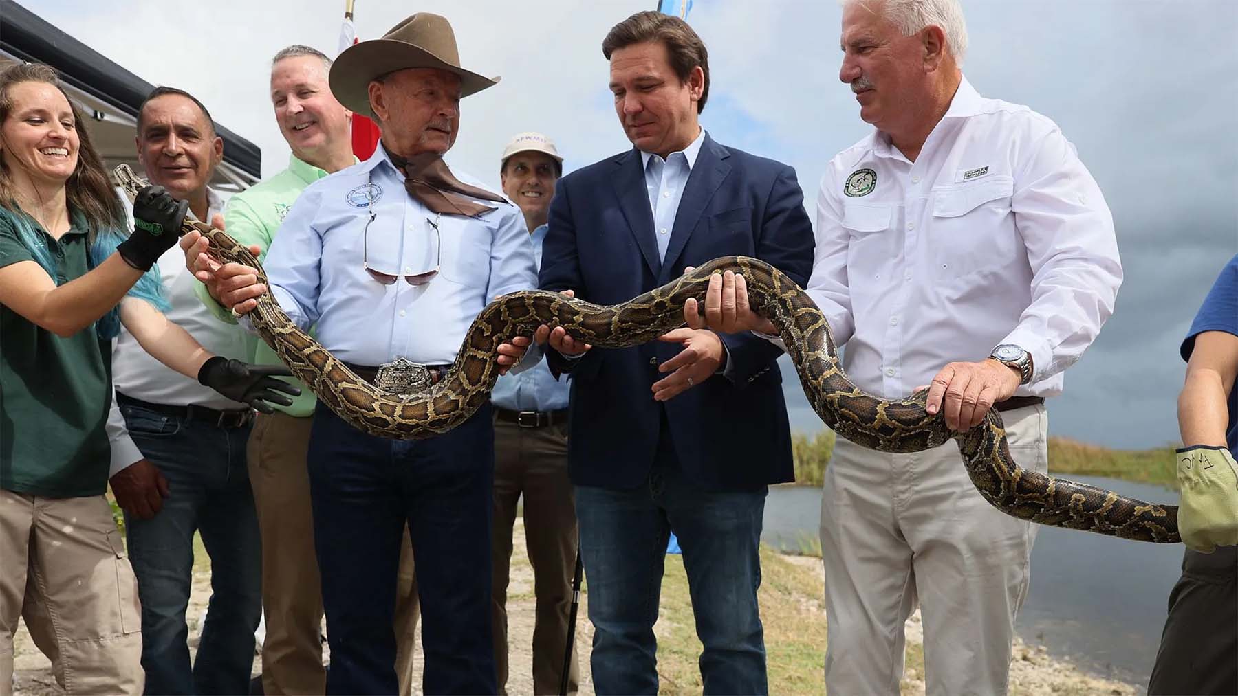 It's official - Florida raises prize to $25,000 for whoever captures ...