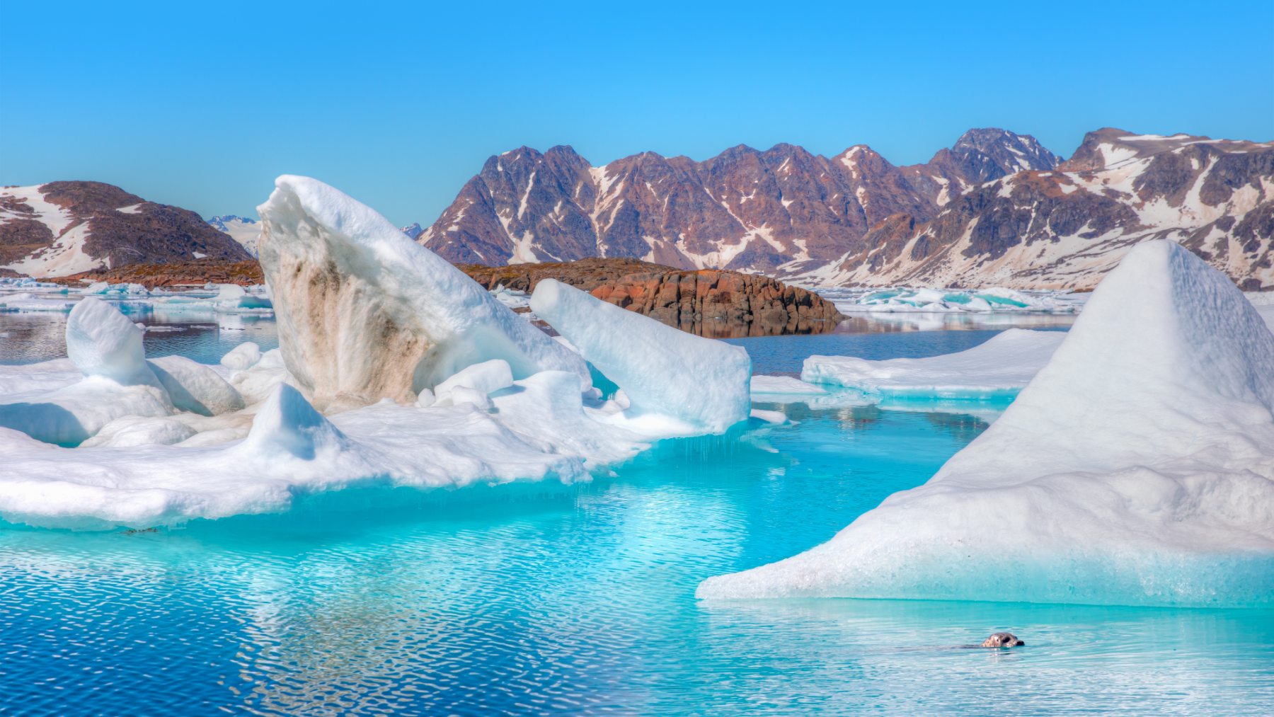 Confirmed by researchers—this is what is happening in the North ...