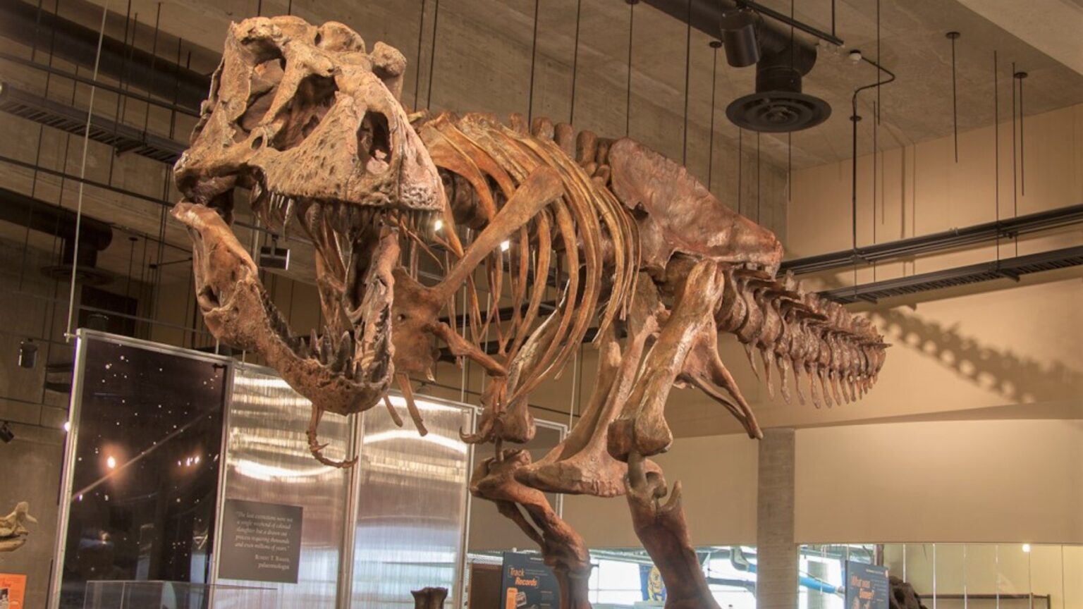 Markiveaa porn this one is really valuable for the