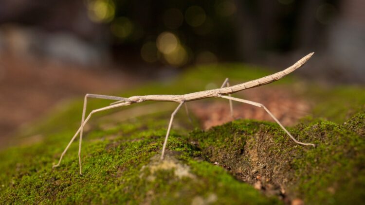 Here are the details of the discovery that is terrifying biologists—the ...