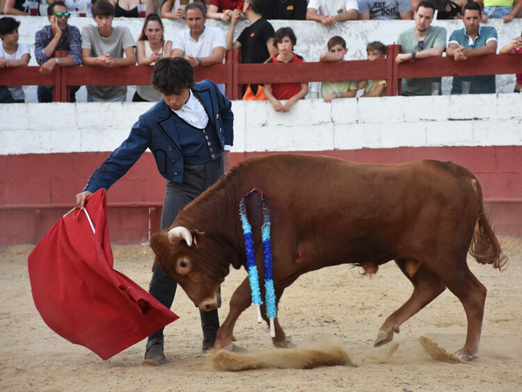 Yanguas de Eresma: la Tauromaquia del pueblo