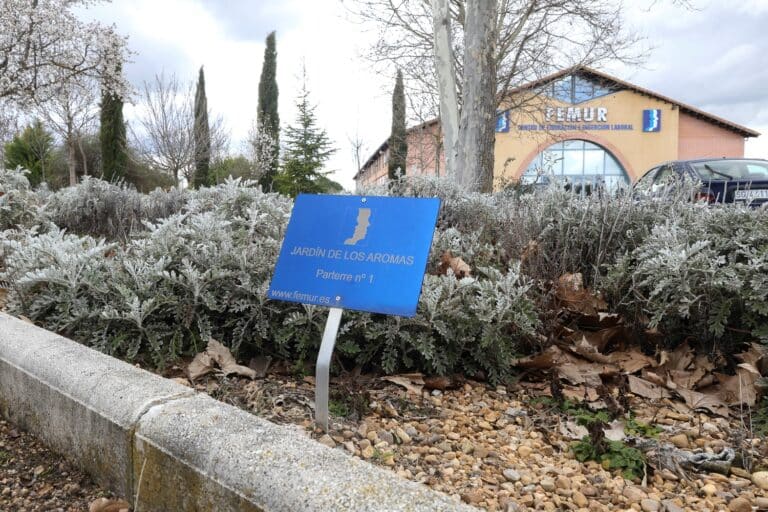 Un mercado agrorural sostenible llenará de productos artesanos el ...